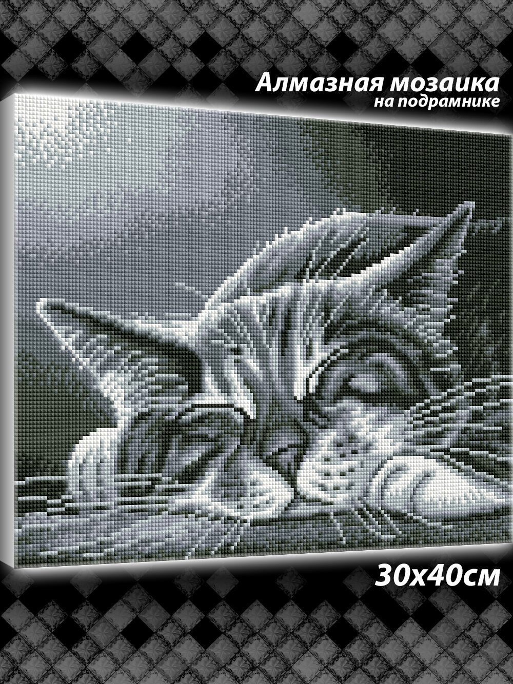 Алмазная мозаика Белоснежка "Мягкий свет", На подрамнике 30х40 см, Полная выкладка, Животные, Кошки