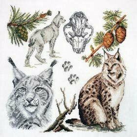 03.014.18 Зоология. Рысь обыкновенная