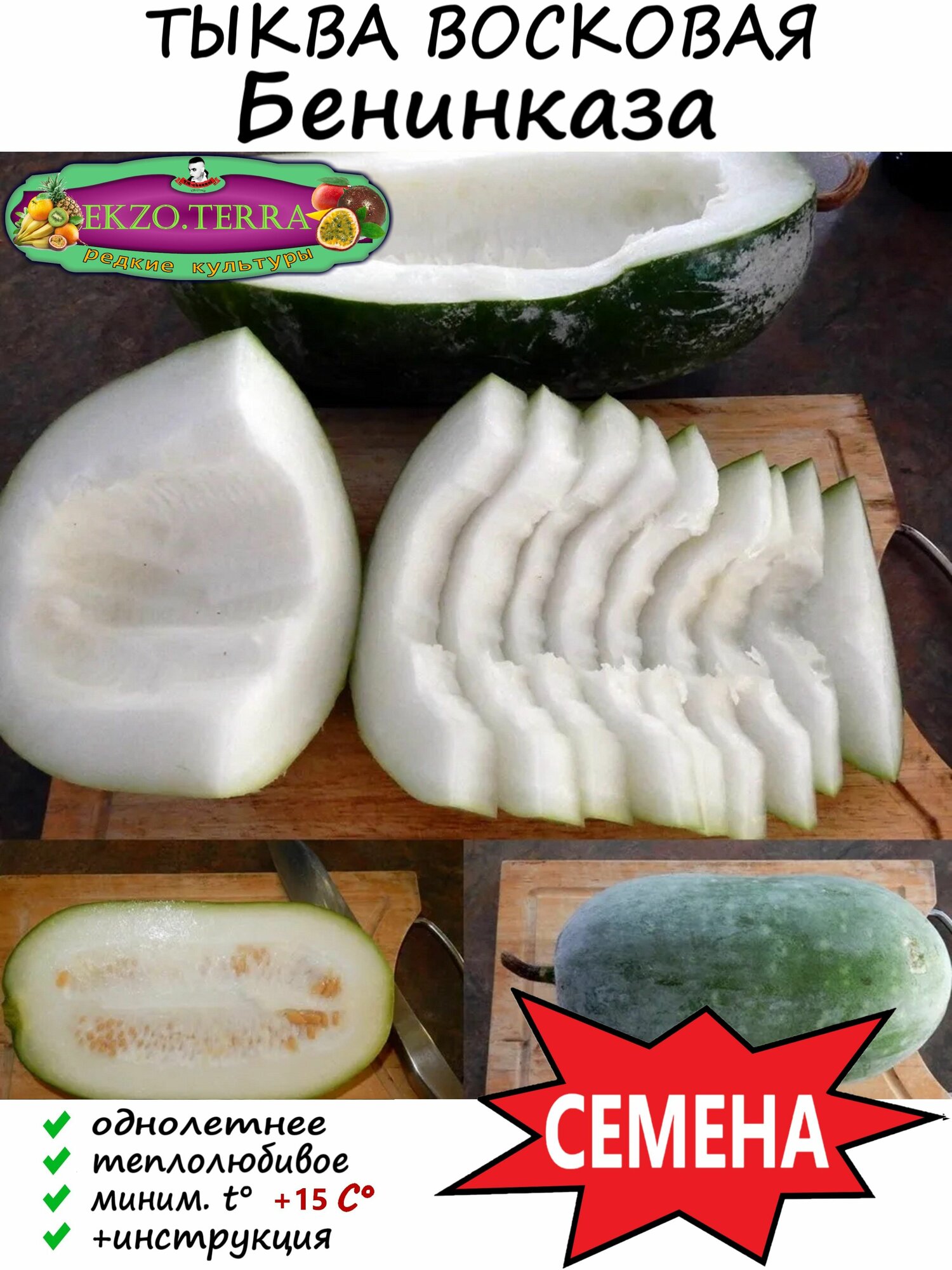 Семена Тыква Восковая (Бенинказа) 3 шт.