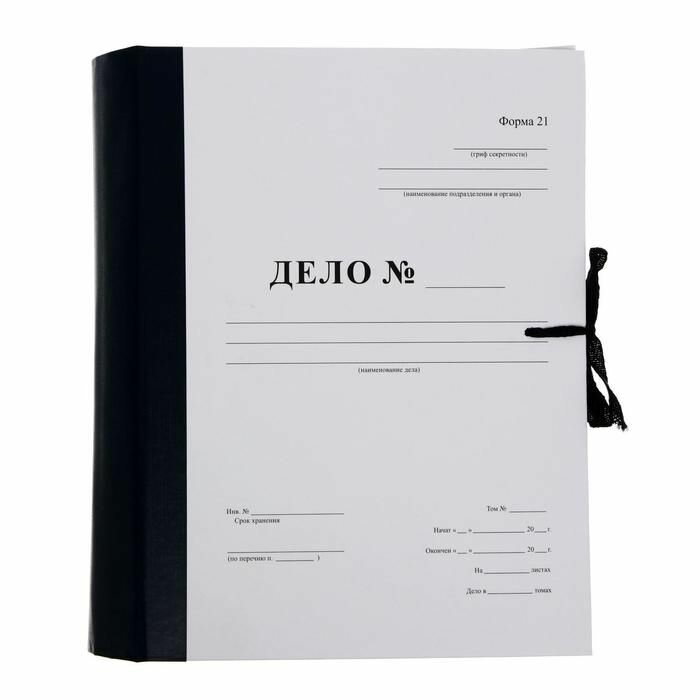 Папка архивная Calligrata "Форма 21", для переплета, А4, 100 мм, с гребешками, 4 отверстия, на завязках