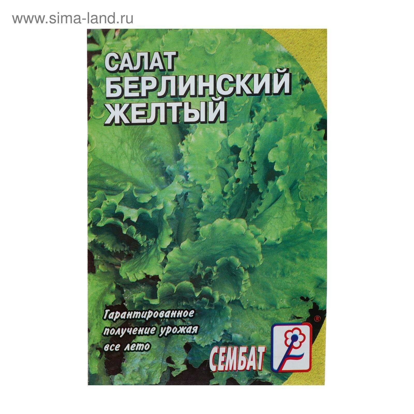 Семена Салат Берлинский Жёлтый. 10 упаковок