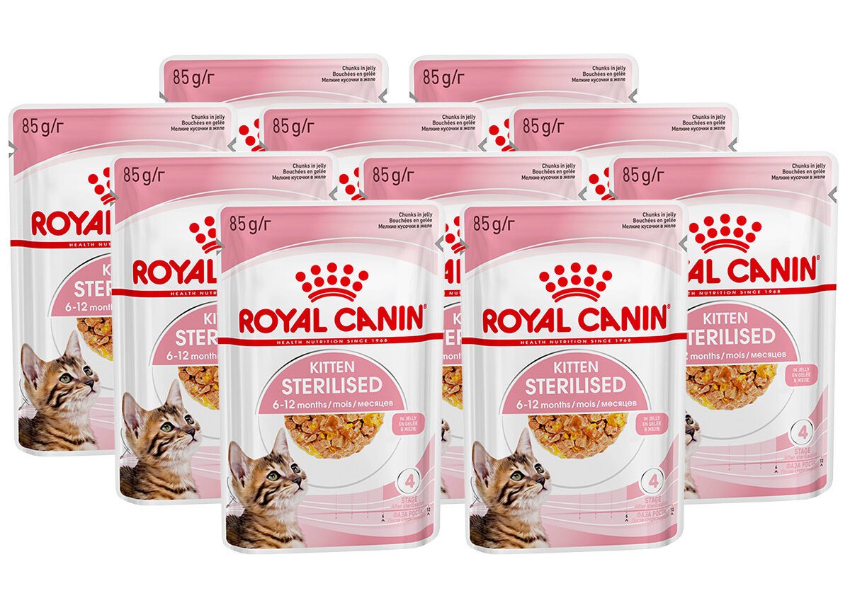 Корм влажный Royal Canin Kitten Sterilised для кастрированных и стерилизованных котят в желе пауч, 85 г х 10 шт
