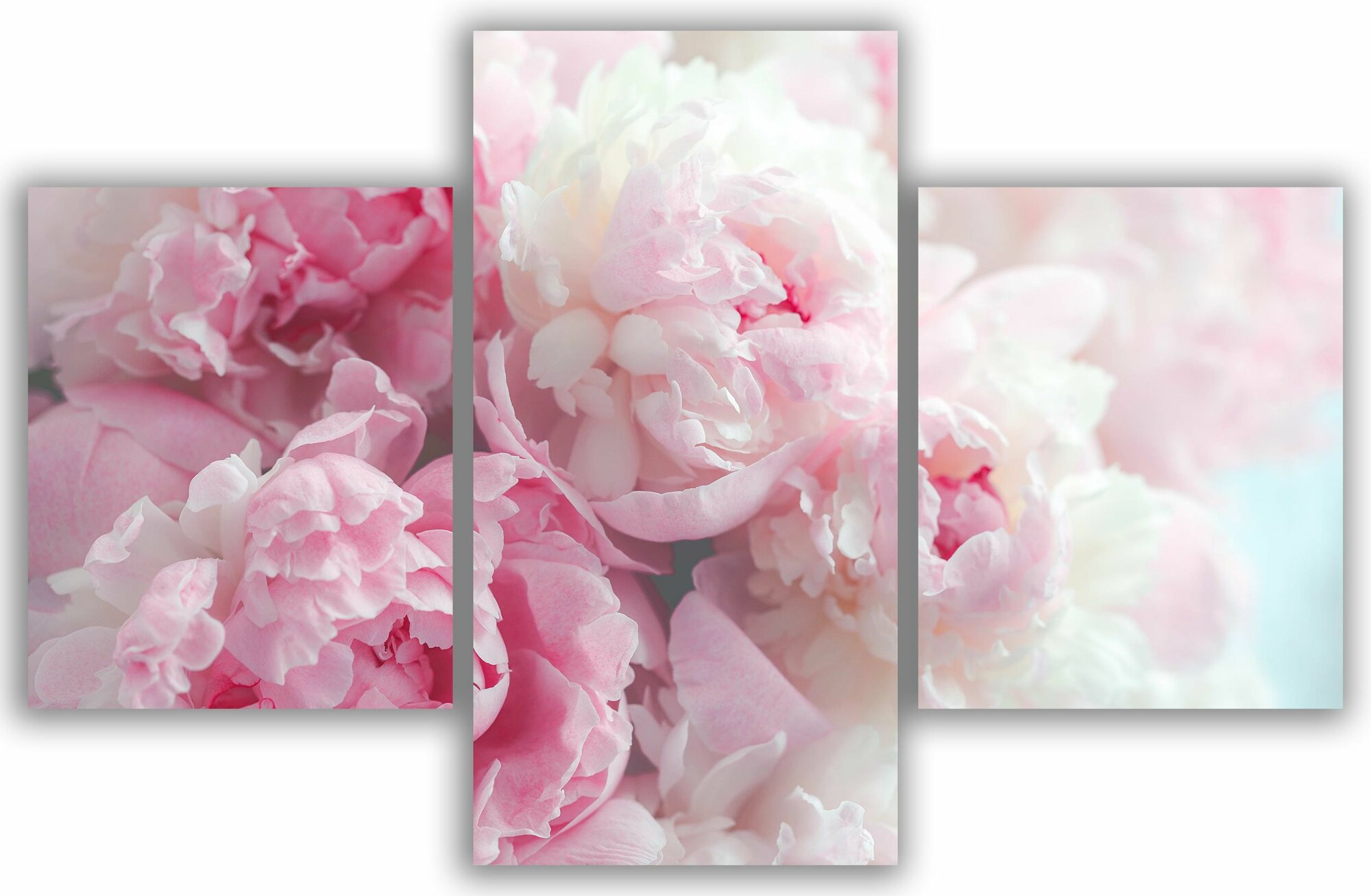 Картина модульная Розовые пионы 120х80