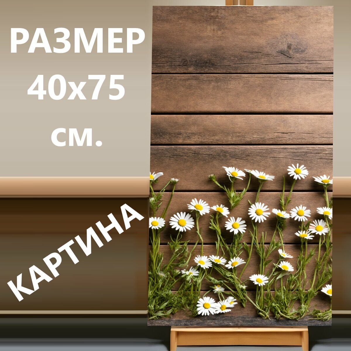 Картина на холсте "Симметрично расположенные ромашки на фоне старинного деревянного стола, их цветы соединили в символ весны и обновления." на подрамнике 75х40 см. для интерьера