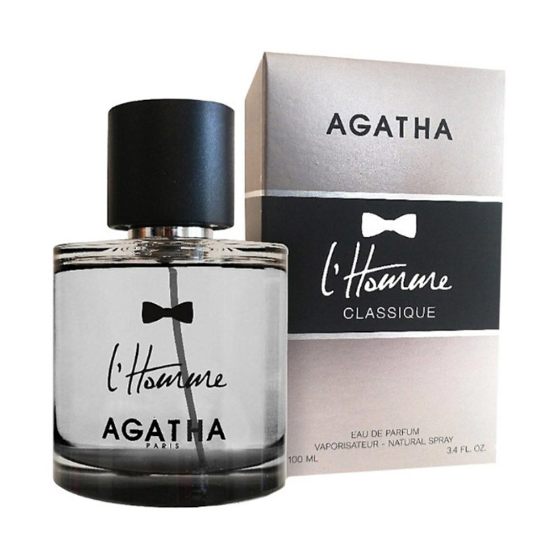 Парфюмерная вода Agatha "L'Homme Classic", мужская, фужерная, 100мл