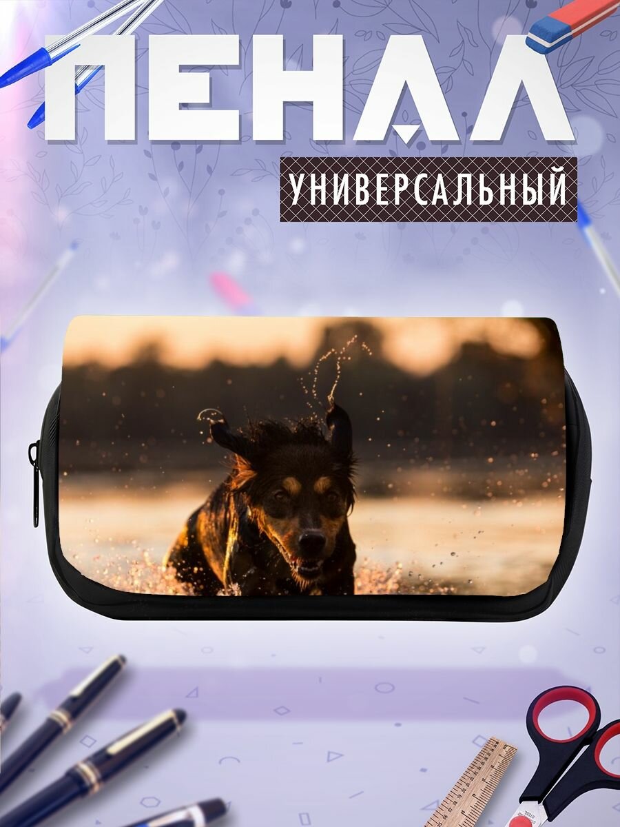 Школьный пенал пес собака породы