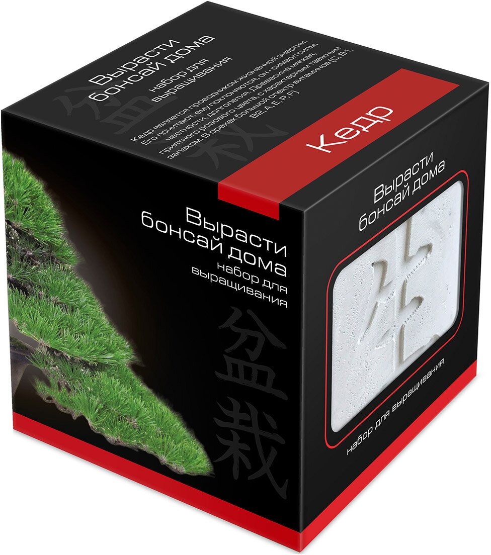 Кедр ЭкоКлуб набор для выращивания бонсай домасемена, грунт и инструменты
