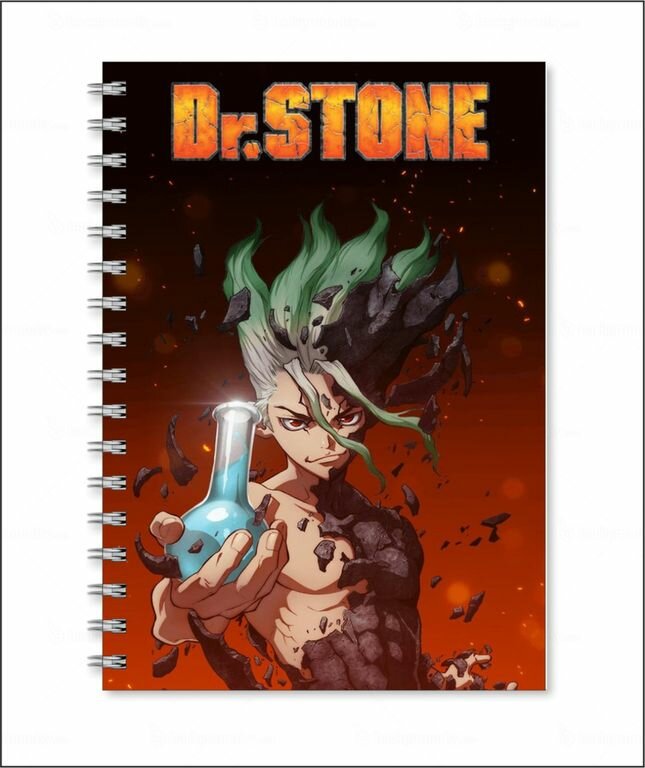 Тетрадь доктор стоун, DR. STONE №1, A4