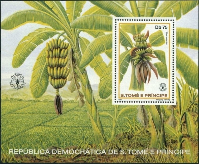 Почтовые марки Сан-Томе и Принсипи 1981г. "Банан заострённый" Флора MNH