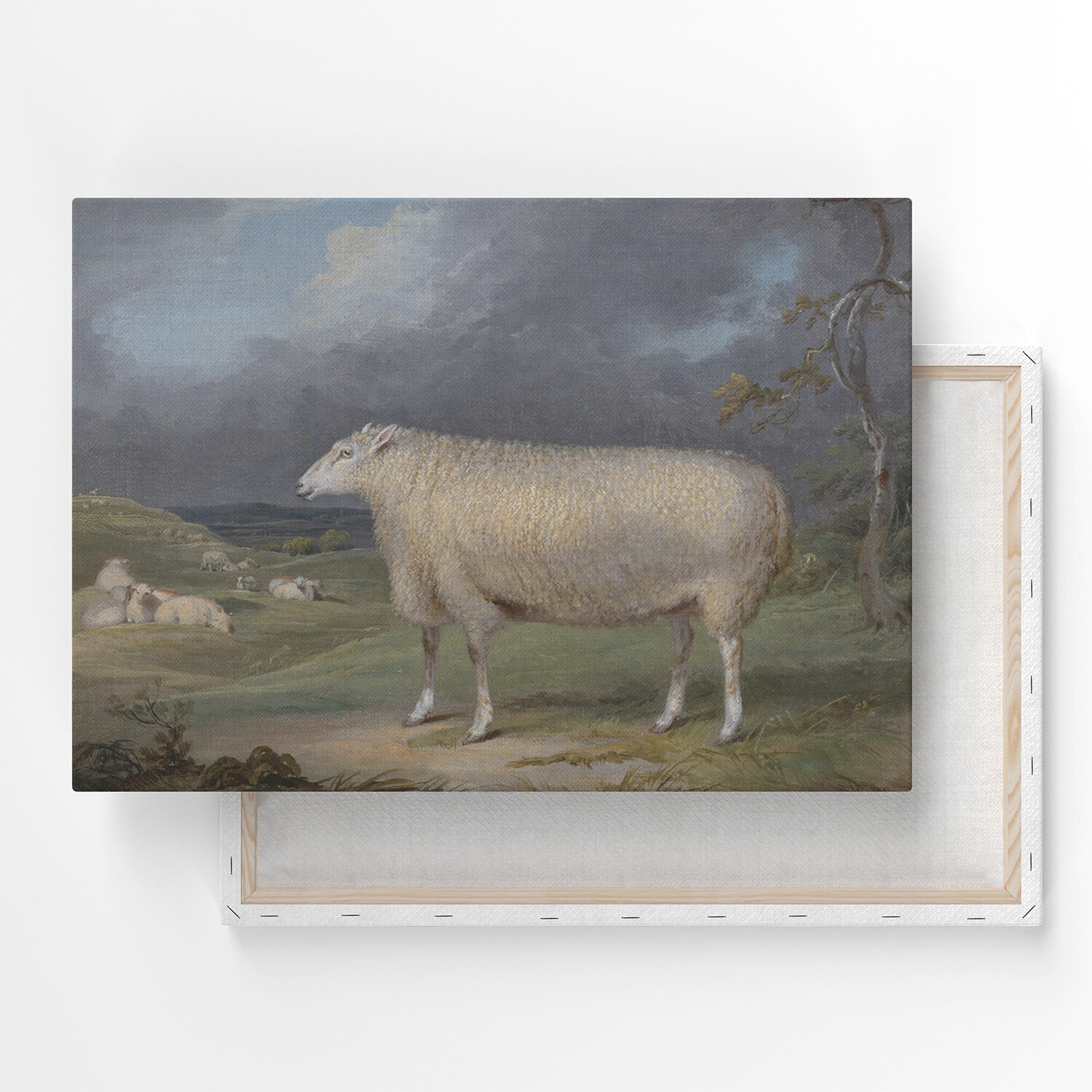 Картина на холсте, репродукция / Джеймс Уорд - A Border Leicester Ewe / Размер 30 x 40 см