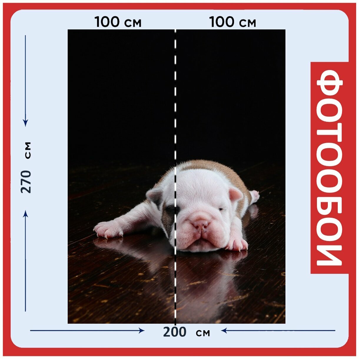 Фотообои "Бульдог, собака, щенок" 200x270 см. флизелиновыена стену