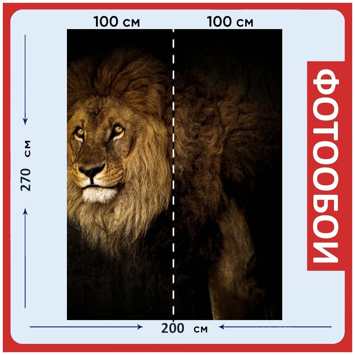 Фотообои "Лев, король, дикая кошка" 200x270 см. флизелиновыена стену