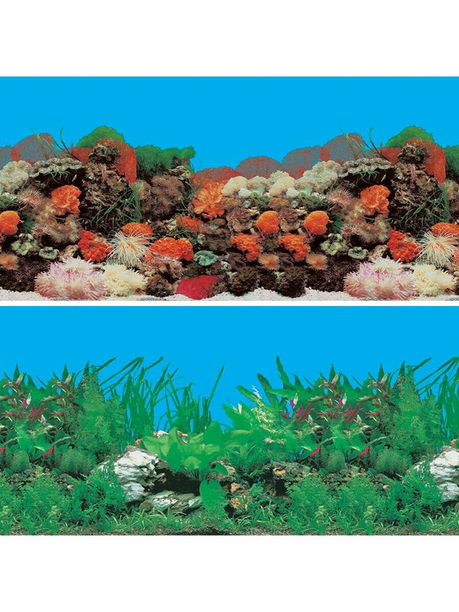 Фон Laguna 0,3*15м "Красное море/Речная долина"