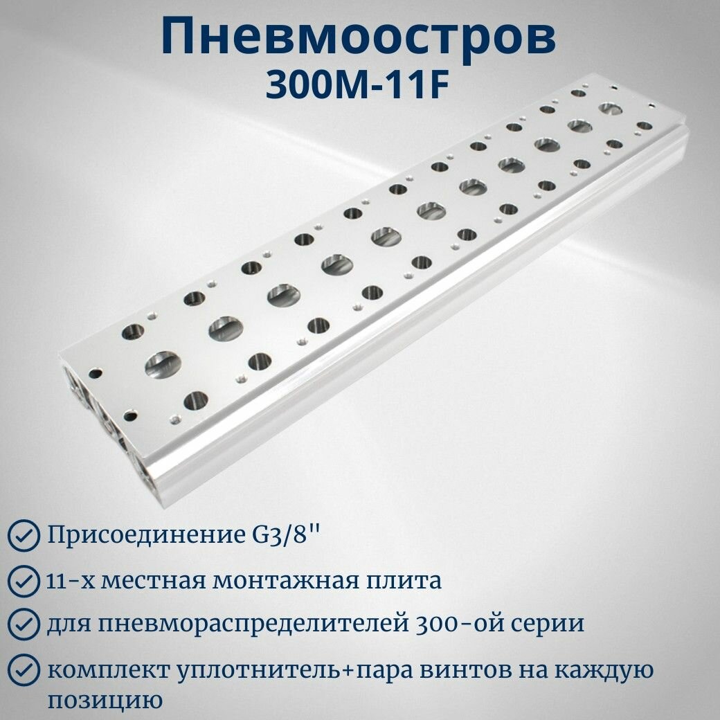 Плита монтажная 300M-11F