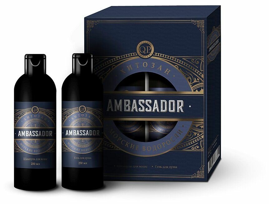 Compliment Подарочный набор для мужчин № 1120 Ambassador Dark: Гель для душа 250 мл + Шампунь 250 мл