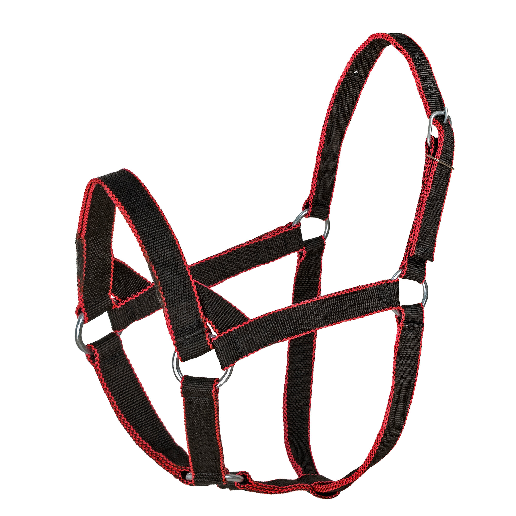 Недоуздок для лошади двойной капрон, недоуздок без повода черно-красный REITER 25 мм