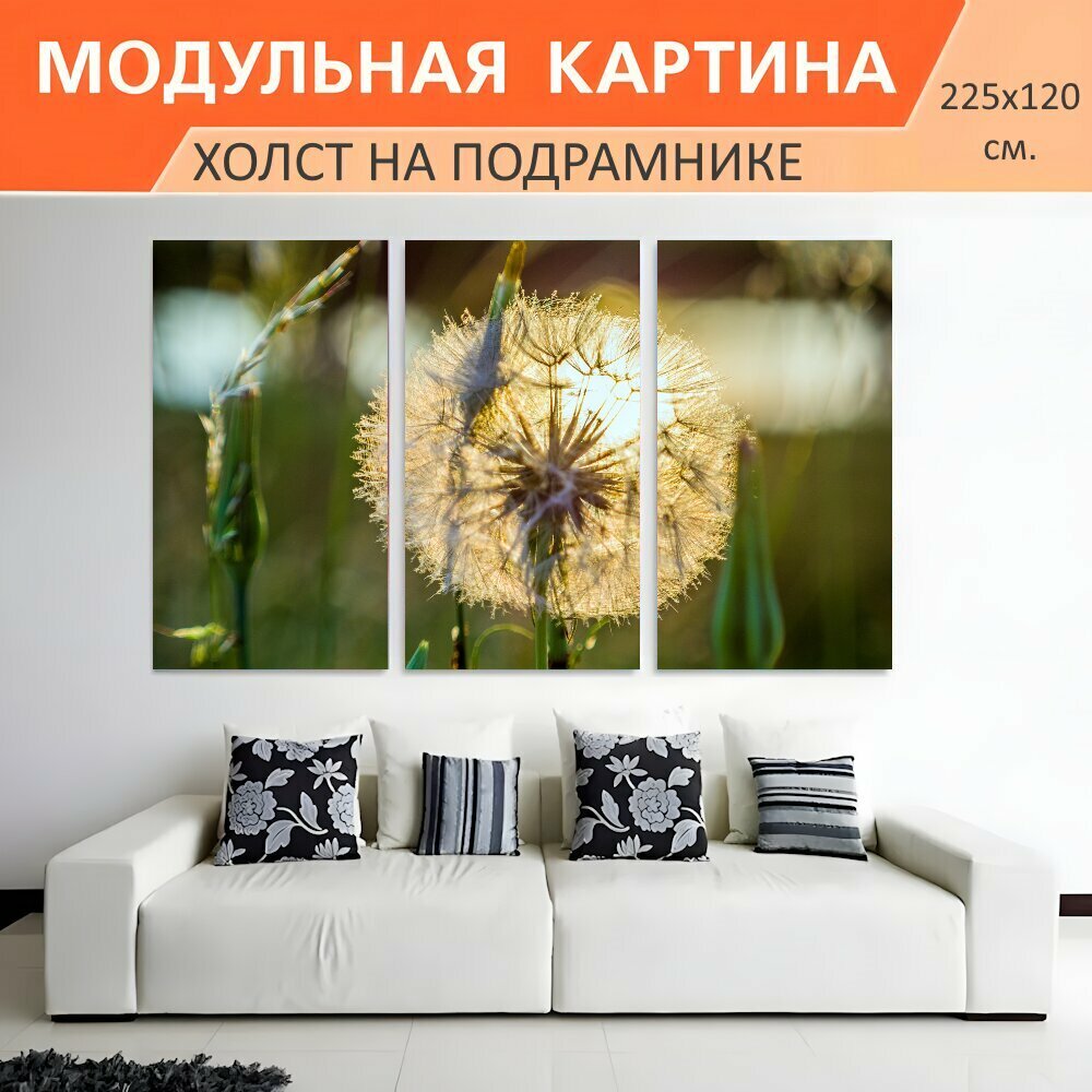 Модульная картина на холсте "Одуванчик, одуванчики, вниз" триптих на подрамнике 225х120 см. для интерьера