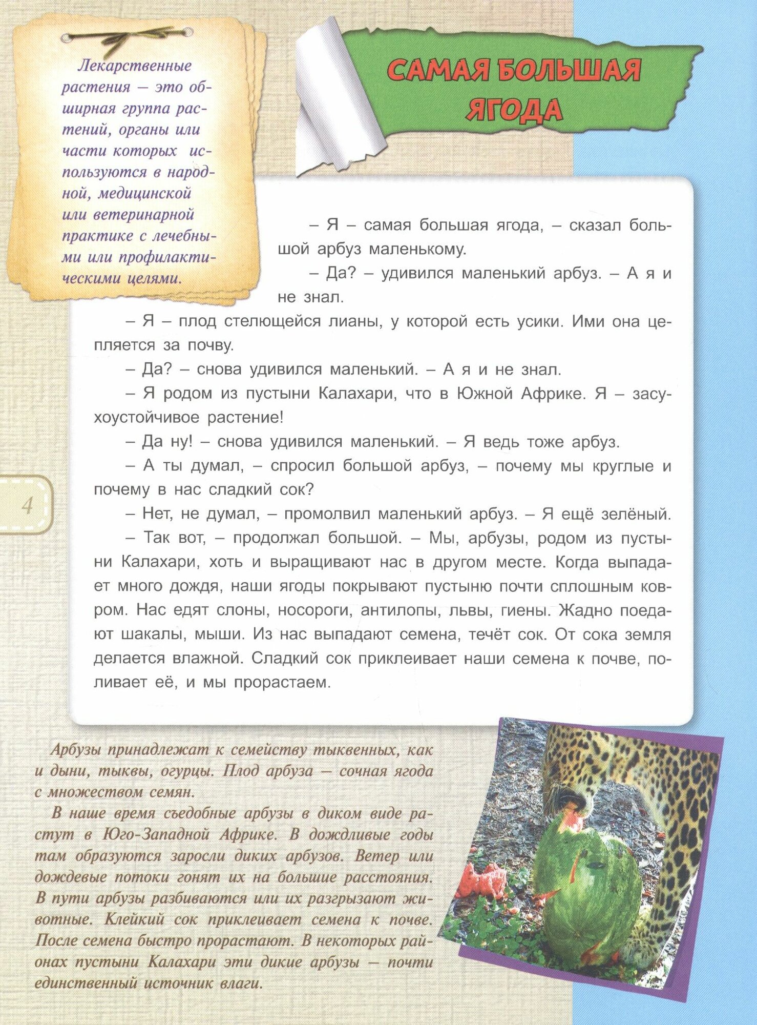 Зеленая аптека — фото 1