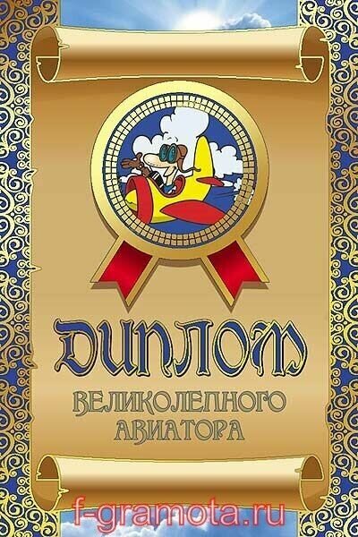 Подарочный диплом для награждения Великолепного авиатора, 110 х 150 мм