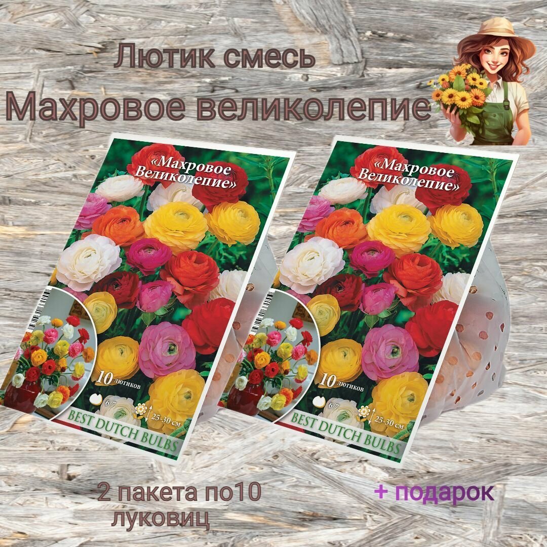 Лютик смесь Махровое великолепие 2 пакета по 10 луковиц 6/7