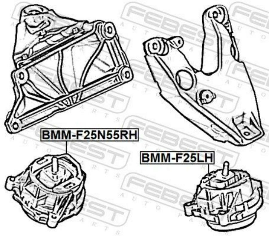 FEBEST BMMF25N55RH подушка двигателя правая! гидравлическая\ BMW X3 F25 09>