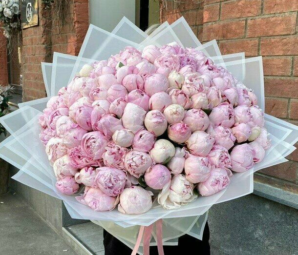 Букет Well Flowers "Пион", 101 цветок, круглый, 50 см, XL, букет свежих цветов