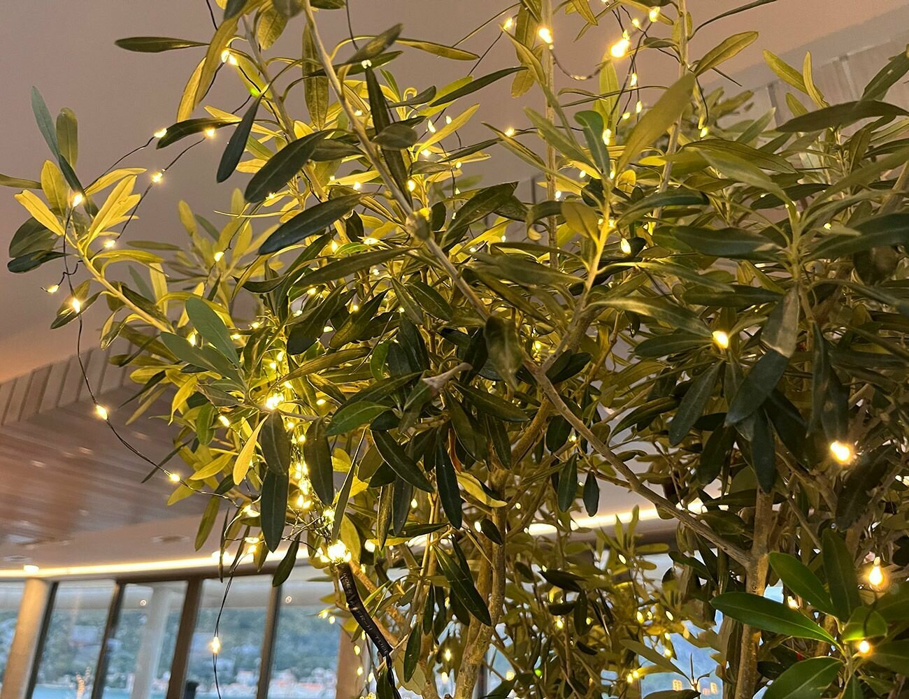 Светодиодная гирлянда сияющие капли - макси, 150 теплых белых мини LED-огней, 15+5 м, зеленая проволока, уличная, Edelman 1087945/84904