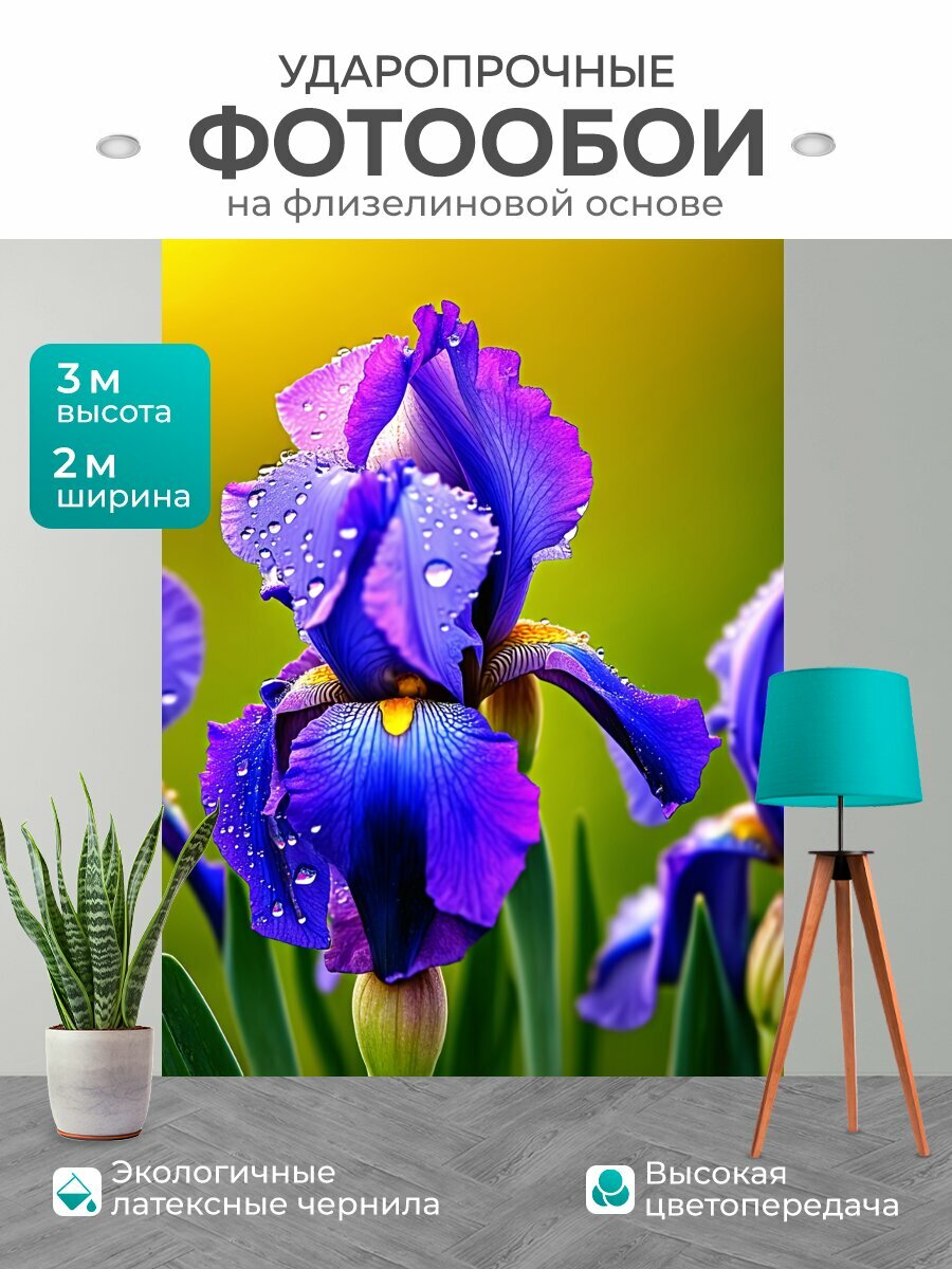 Фотообои моющиеся ударопрочные "Ирисы в каплях росы на рассвете" 200x300 см. флизелиновые на стену