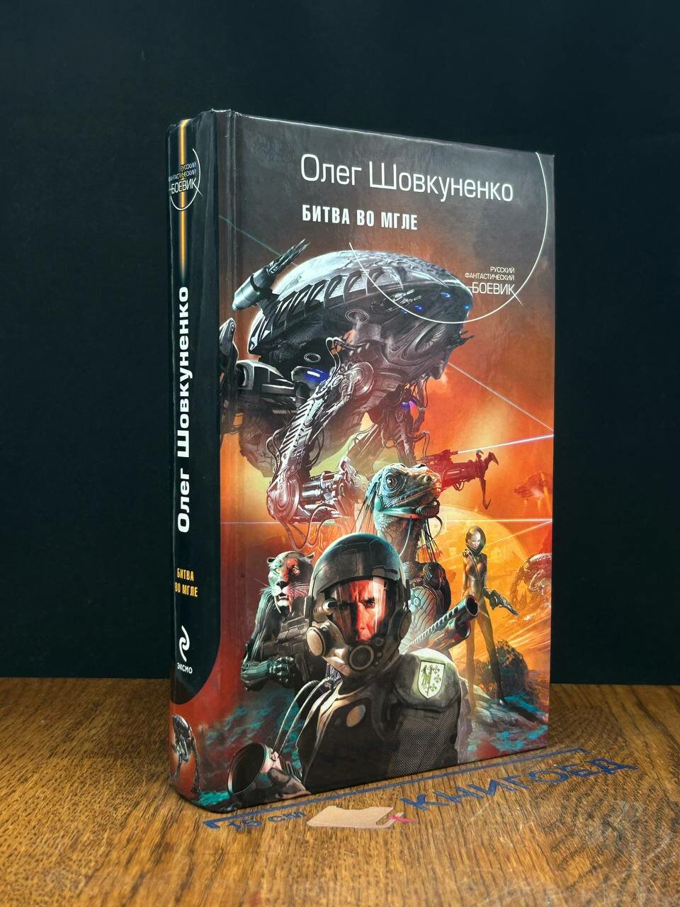 Книга. Битва во мгле 2010 (2041834550154)