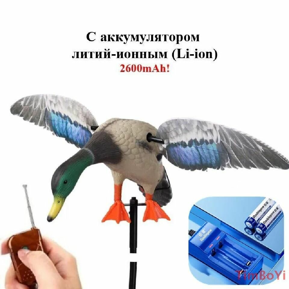 Махокрыл, подсадная утка с аккумулятором, приманка