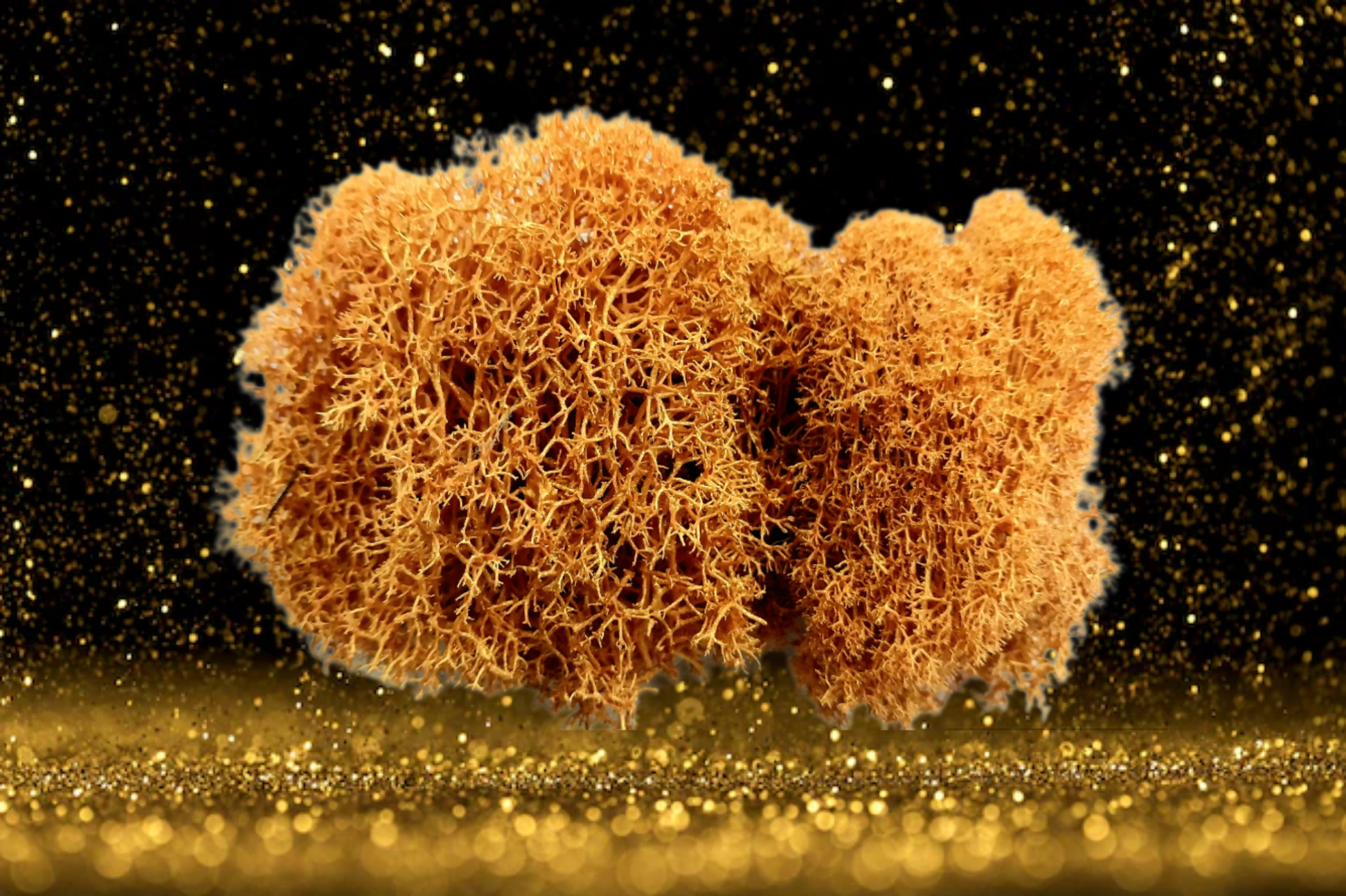 Мох (ягель) стабилизированный, цвет Эксклюзивный - Золотой, для декора 100 гр