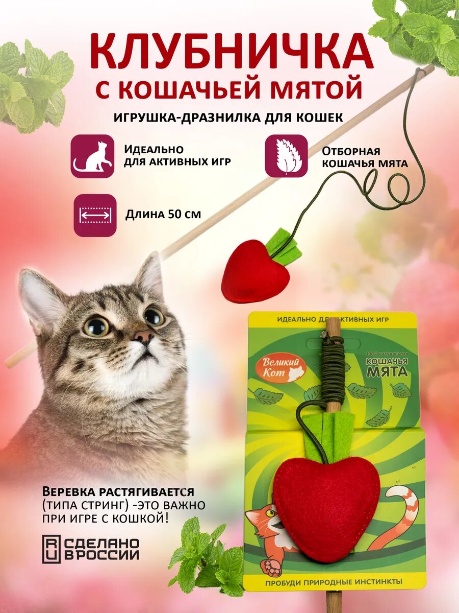 Удочка-дразнилка для кошек Клубничка с натуральной кошачьей мятой
