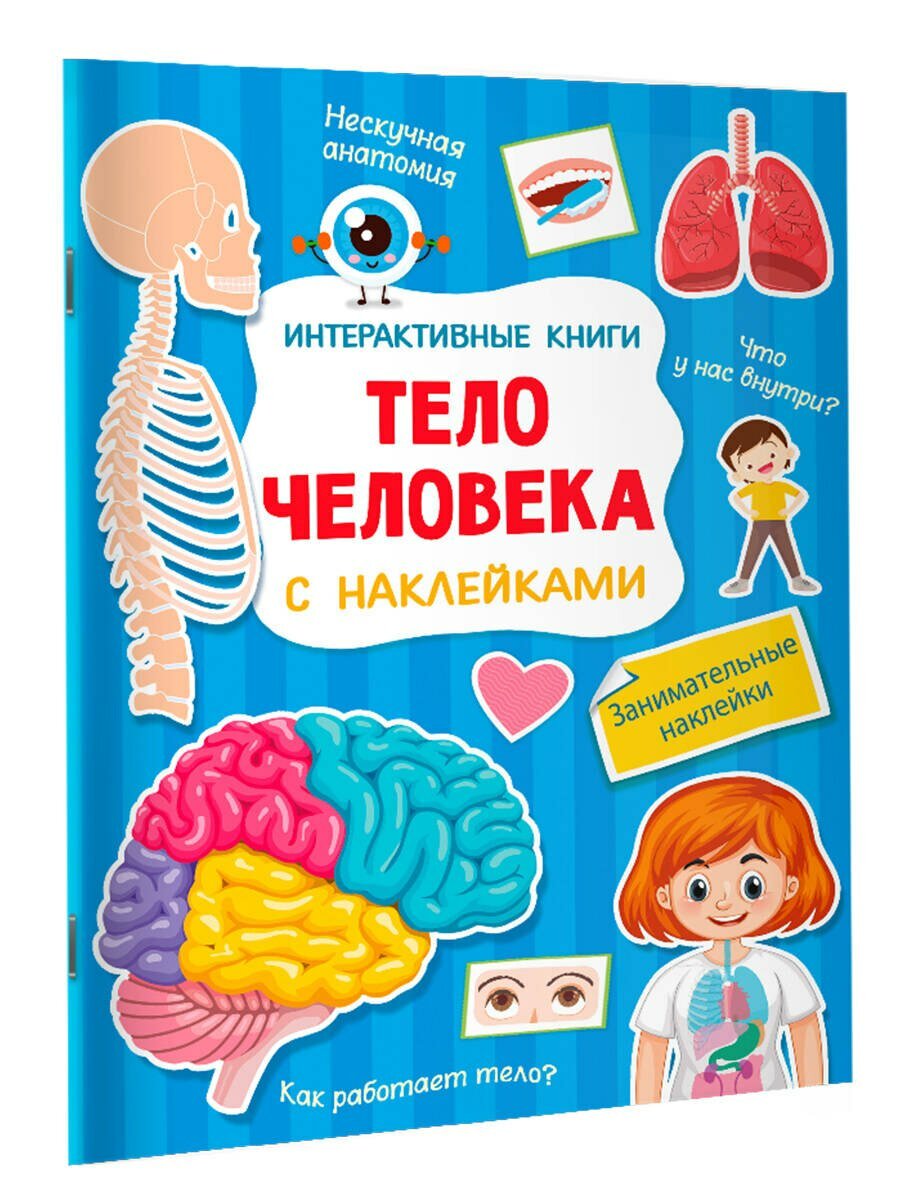 Тело человека — фото 1