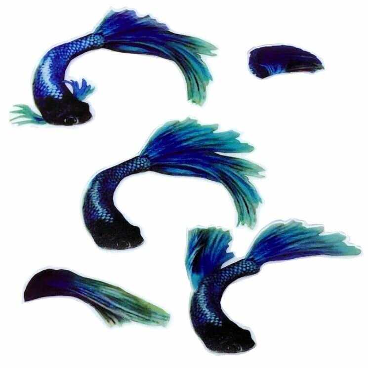 Рыбки для заливки эпоксидной смолой 3D