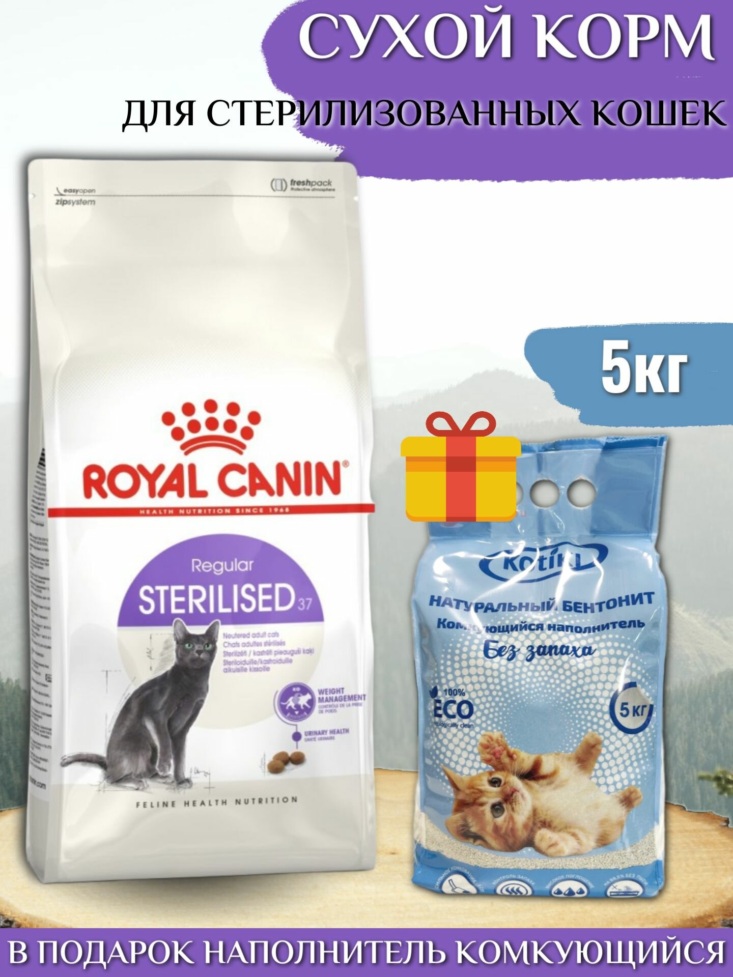 Royal Canin Sterilised 37 Сухой корм для кошек 10 кг + Подарок Kotiki Наполнитель, Без запаха 5 кг