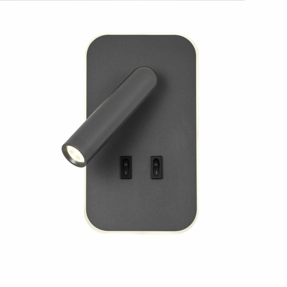 Светильник Настенный Favourite 4499-2W Серый, Металл / Фаворит.