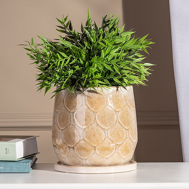 Керамическое кашпо Лоусберг Кремоне 19 см, Edelman, 1152529