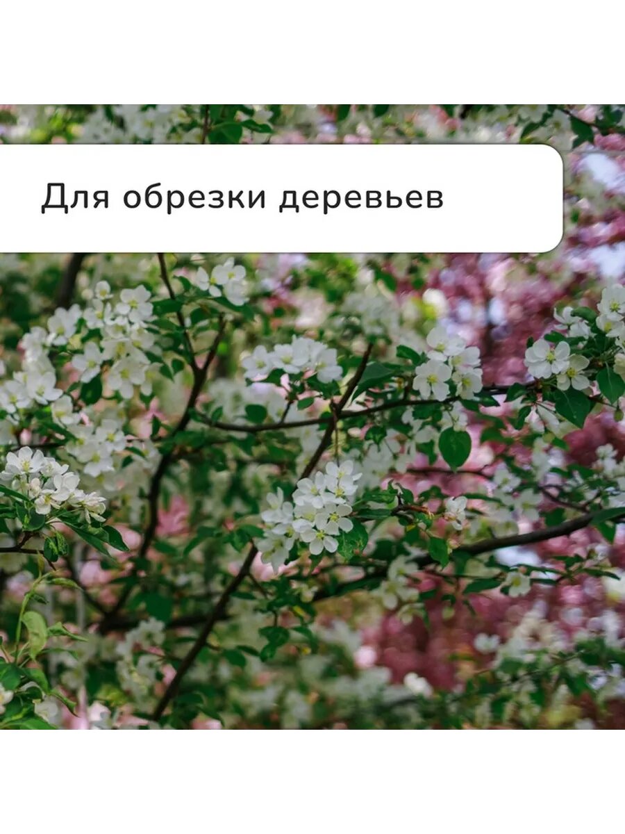 Профессиональный сучкорез для высотных работ