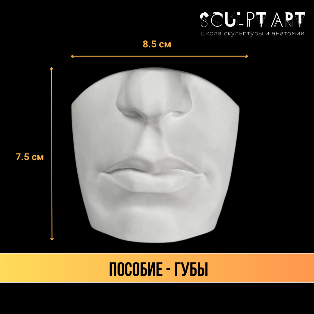 Гипсовое анатомическое пособие "Губы" для скульпторов и художников