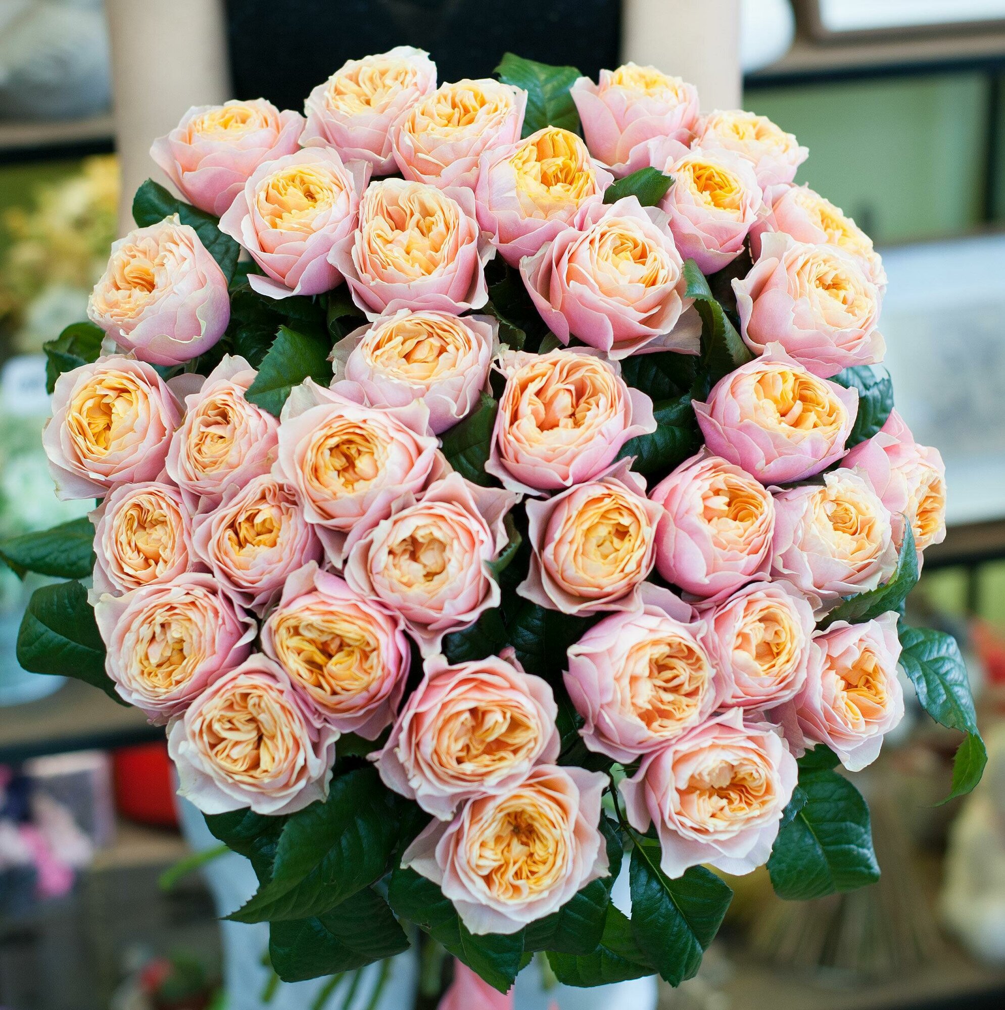 Монобукет Charlotte "Вувузелла", пионовидные розы, персиковые оттенки, 35 цветов, высота 50 см