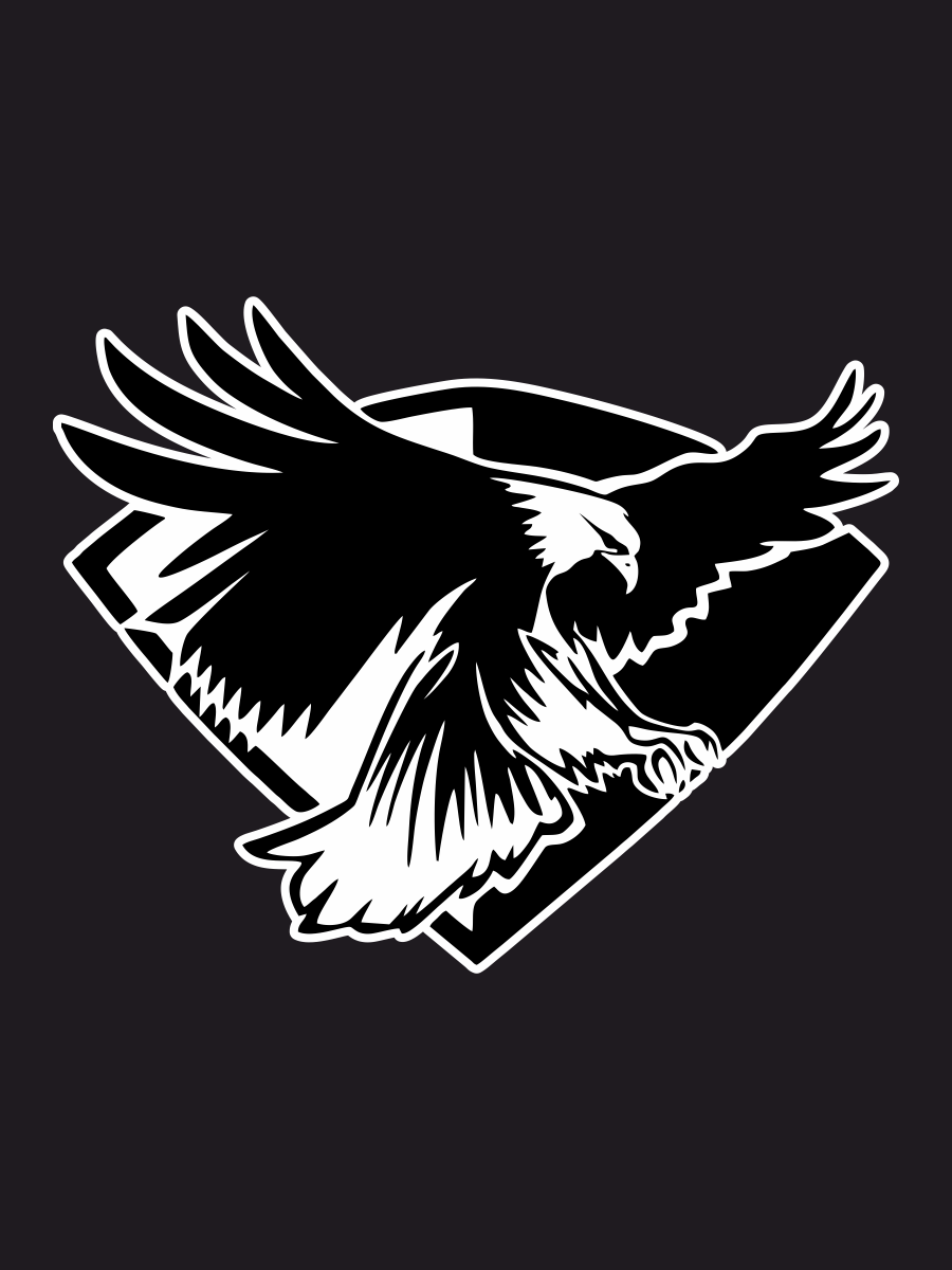 Наклейка на авто Орел 20x15 см.