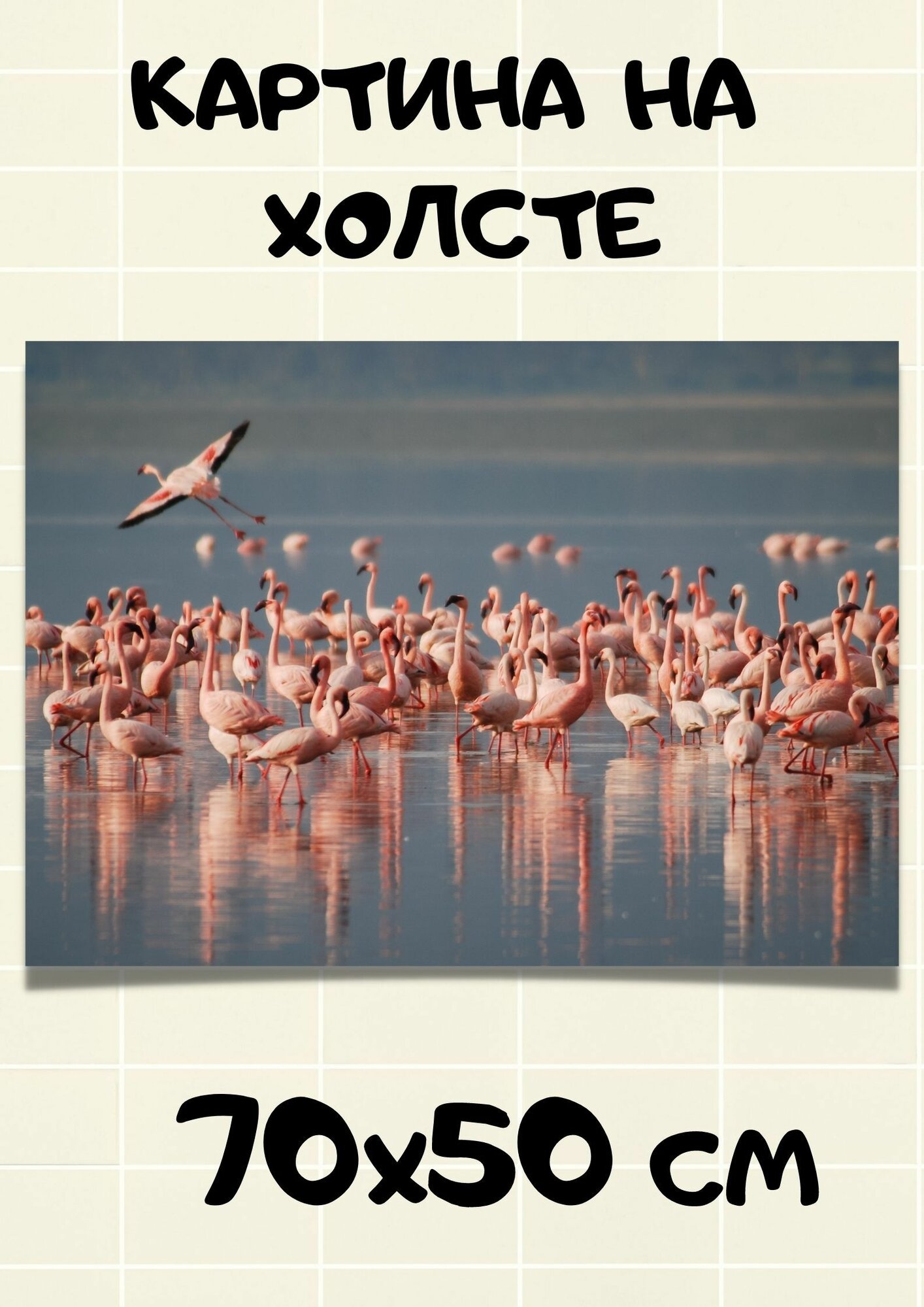 Картина с птицами "Стая фламинго на озере" 70х50 см холст