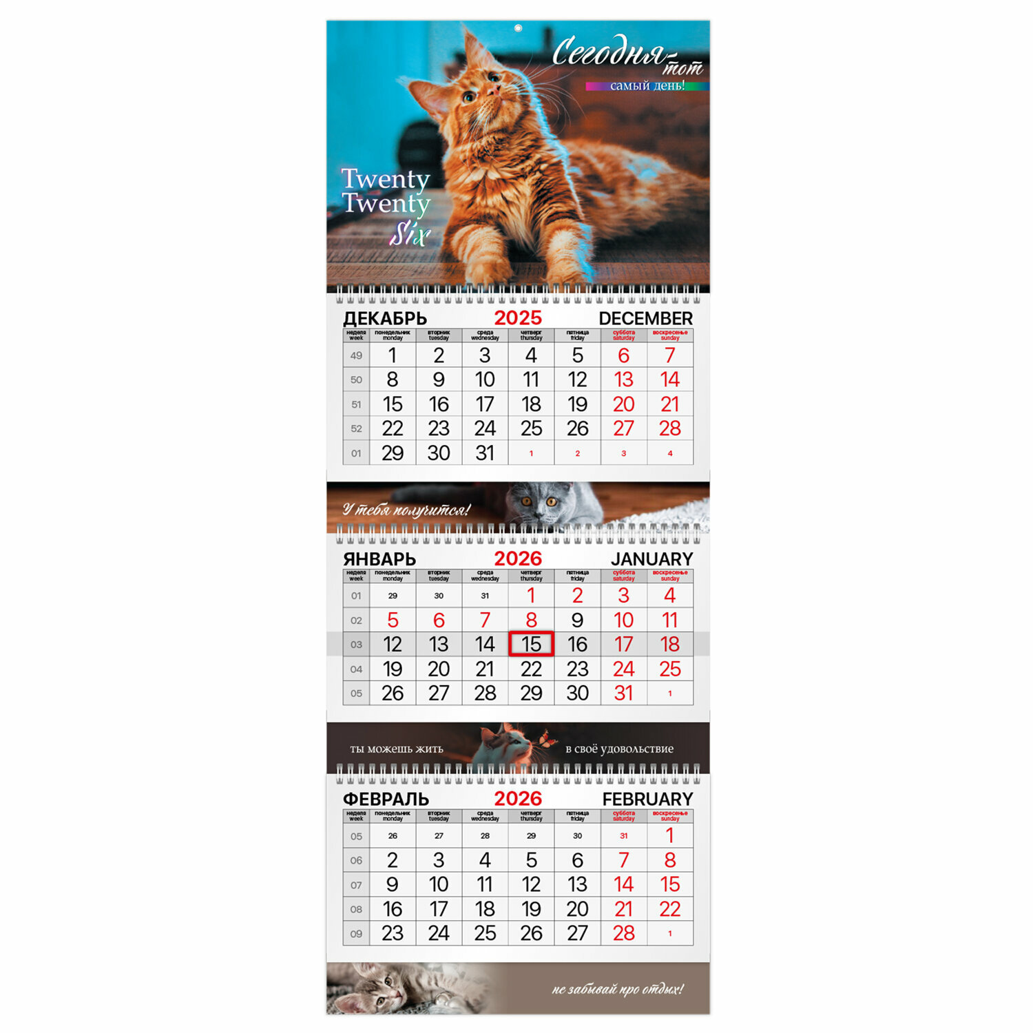 Календарь квартальный 2026 г, 3 блока, 3 гребня, бегунок, мелованная бумага, BRAUBERG EXTRA, "Котик", 116824