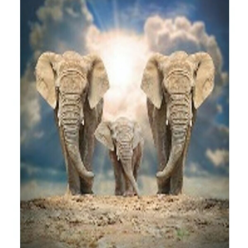 Штора для ванной комнаты Фотопринт 180x180 см с кольцами, изображение слонов, яркая и прочная