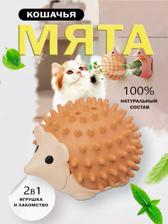 Игрушка для кошек палочки мататаби для зубов Кусалка