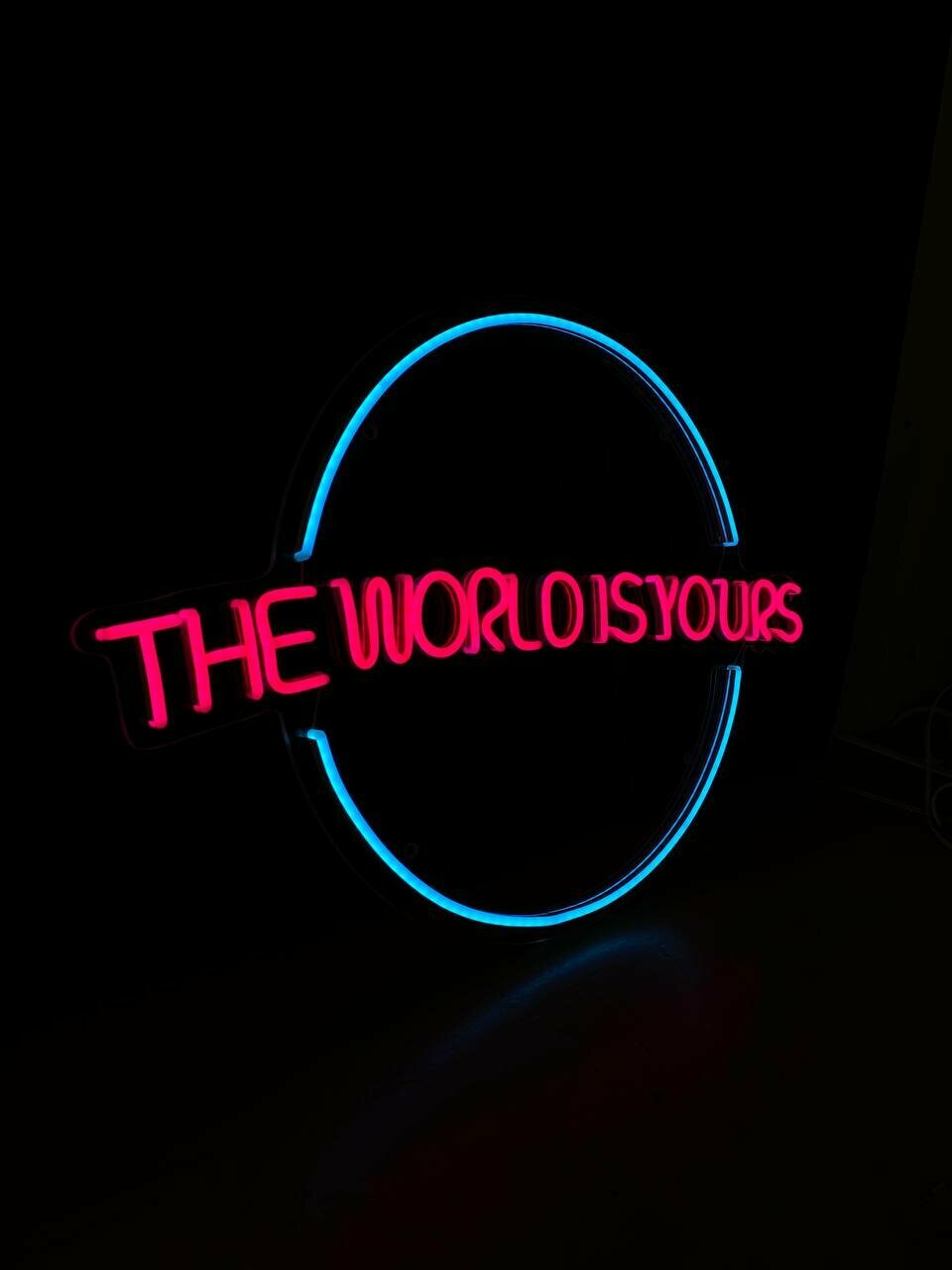 Светильник неоновый Весь мир принадлежит вам / надпись из неона / Размеры: 600х430 мм