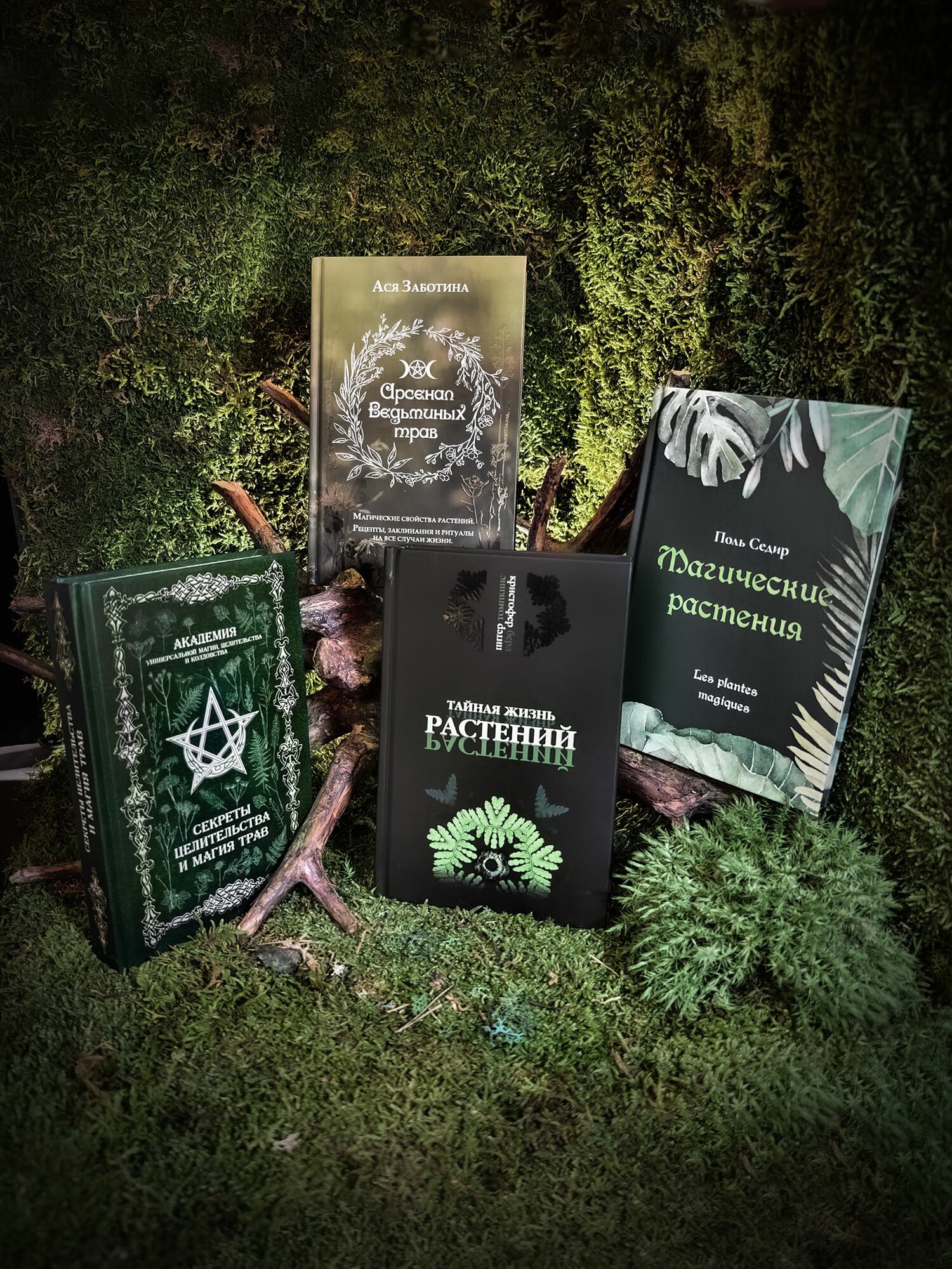 Магия растений - набор из 4 ключевых книг