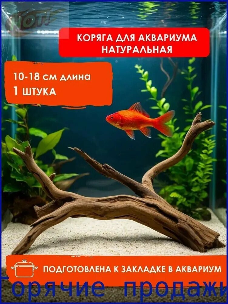 Коряга для аквариума натуральная извилистая витеватая 13-20 см, 1 шт.