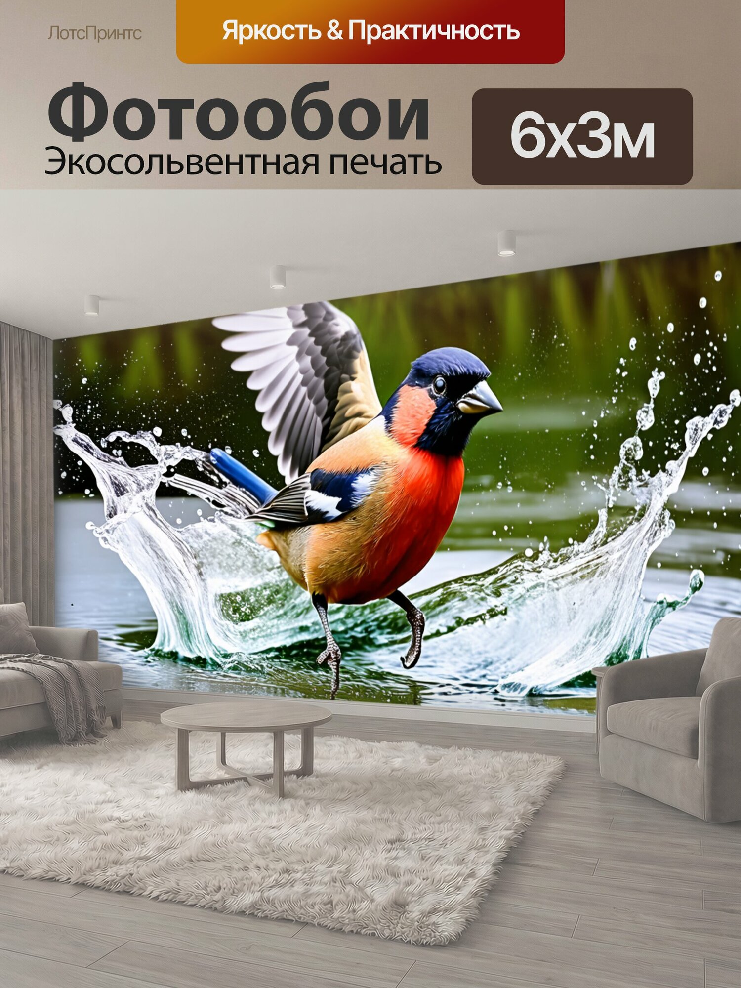 Фотообои "Птица-снегирь с расправленными крыльями прыгает в воду, создавая брызги. На фоне зелёная трава и отражение в воде. Яркие детали." 600x300 см. экосольвентная печать
