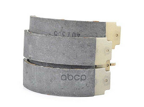 Тормозные накладки ручного тормоза (с пружин.) BSG AUTO PARTS арт. BSG60205005